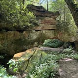 Rock Bridge Trail, Kentucky - 3,629 Reviews, Map | AllTrails
