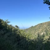 Cold Spring Loop, California - 2,462 Reviews, Map | AllTrails