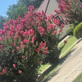 Tech Terrace Park Loop, Texas - 36 Reviews, Map | AllTrails