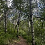 Armstrong Trail to Dawns Trail Loop, Utah - 2,874 Reviews, Map | AllTrails