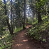 Armstrong Trail to Dawns Trail Loop, Utah - 2,874 Reviews, Map | AllTrails