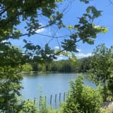 Bee Tree Lake Loop, Missouri - 546 Reviews, Map | AllTrails