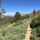 Heart Lake Trail, California - 594 Reviews, Map | AllTrails