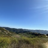 Trippet Ranch to Eagle Springs Loop Trail, California - 842 Reviews ...