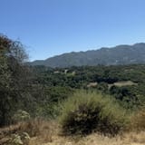 Trippet Ranch to Eagle Springs Loop Trail, California - 842 Reviews ...