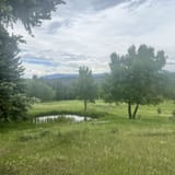 Davis Ponds Trail, Colorado - 1,333 Reviews, Map | AllTrails