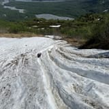Harding Icefield Trail, Alaska - 3,105 Reviews, Map | AllTrails