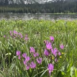 Hoffer Lakes Trail, Oregon - 95 Reviews, Map | AllTrails