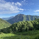 Provo Peak Trail, Utah - 181 Reviews, Map | AllTrails