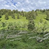 Provo Peak Trail, Utah - 181 Reviews, Map | AllTrails