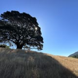Bon Tempe Lake Loop, California - 2,083 Reviews, Map | AllTrails