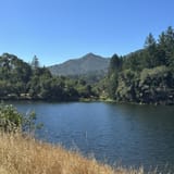 Bon Tempe Lake Loop, California - 2,083 Reviews, Map | AllTrails