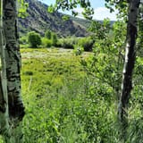 Cascade Springs Interpretive Trail, Utah - 533 Reviews, Map | AllTrails