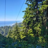 Amanda's Trail, Oregon - 546 Reviews, Map | AllTrails