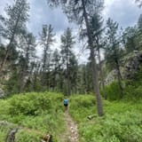 Hell Canyon Trail , South Dakota - 661 Reviews, Map | AllTrails