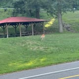 North Park Lake Shore Loop Trail, Pennsylvania - 1,829 Reviews, Map ...