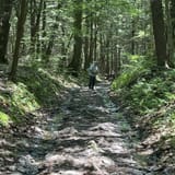 Huckleberry Point Trail, New York - 1,816 Reviews, Map | AllTrails