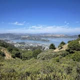 Gerbode Valley Loop, California - 529 Reviews, Map | AllTrails