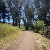 Gerbode Valley Loop, California - 529 Reviews, Map | AllTrails