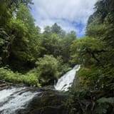 Alsea Falls and Green Peak Falls, Oregon - 1,252 Reviews, Map | AllTrails