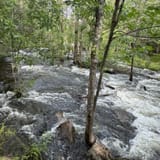 Bond Falls Loop, Michigan - 517 Reviews, Map | AllTrails