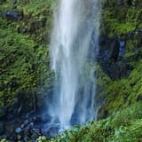 Watson Falls, Oregon - 1,240 Reviews, Map | AllTrails