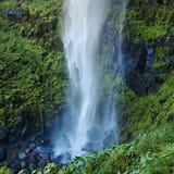 Watson Falls, Oregon - 1,240 Reviews, Map | AllTrails
