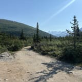 Castner Glacier Trail, Alaska - 724 Reviews, Map | AllTrails