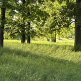 Walter Bean Grand River Trail (RIM Park), Ontario, Canada - 123 Reviews ...