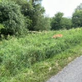 Walter Bean Grand River Trail (RIM Park), Ontario, Canada - 123 Reviews ...