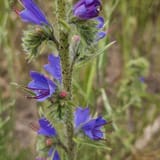 Painted Rocks Nature Trail, Washington - 770 Reviews, Map | AllTrails
