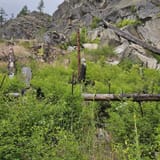 Painted Rocks Nature Trail, Washington - 770 Reviews, Map | AllTrails