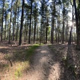 Emma Carlin Trails: Orange Loop, Wisconsin - 407 Reviews, Map | AllTrails