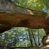 Princess Arch Trail, Kentucky - 1,393 Reviews, Map | AllTrails