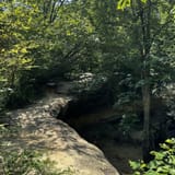 Princess Arch Trail, Kentucky - 1,393 Reviews, Map | AllTrails