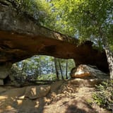 Princess Arch Trail, Kentucky - 1,407 Reviews, Map | AllTrails