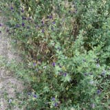 Mara Mountain Cliffs South, British Columbia, Canada - 96 Reviews, Map ...