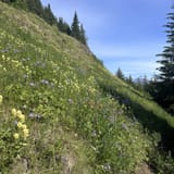 Hope Point, Alaska - 522 Reviews, Map | AllTrails