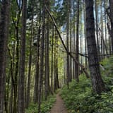 Mount Rose Trail, Washington - 1,387 Reviews, Map | AllTrails