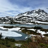 Lost Lake via Primrose Trail, Alaska - 255 Reviews, Map | AllTrails
