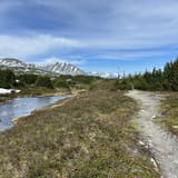 Lost Lake via Primrose Trail, Alaska - 252 Reviews, Map | AllTrails