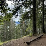 Mount Rose Trail, Washington - 1,387 Reviews, Map | AllTrails