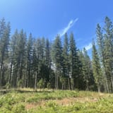 Fleming Meadow Loop, California - 439 Reviews, Map | AllTrails