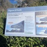 Figure 8 Pools, New South Wales, Australia - 608 Reviews, Map | AllTrails