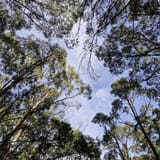 Chute Road and Mount Macedon Circuit, Victoria, Australia - 510 Reviews ...