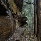 Numantia Falls, New South Wales, Australia - 105 Reviews, Map | AllTrails