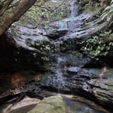 Numantia Falls, New South Wales, Australia - 105 Reviews, Map | AllTrails
