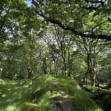 Arthog Waterfalls Circular, Gwynedd, Wales - 23 Reviews, Map | AllTrails