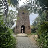 Mount Britton Tower Trail, Puerto Rico - 1,901 Reviews, Map | AllTrails