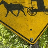 Holmes County Trail: Millersburg to Holmesville, Ohio - 74 Reviews, Map ...